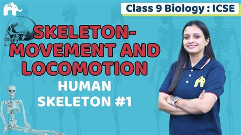 skeleton movement and locomotion class 9 icse biology selina chapter