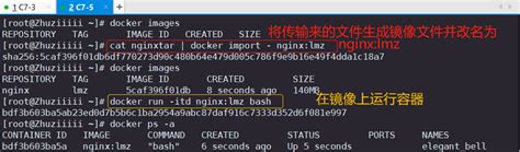 docker高频使用命令总结（镜像与容器命令） docker启动镜像容器命令 csdn博客