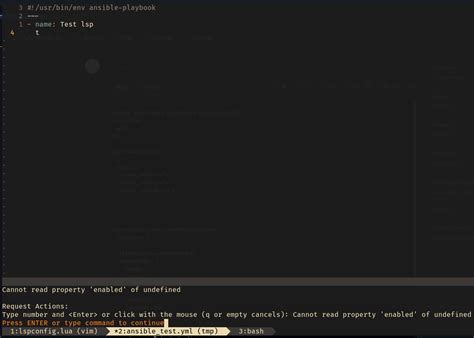 Completion With Ansiblels Is Not Functioning Properly After Setup With Lsp Installer Issue