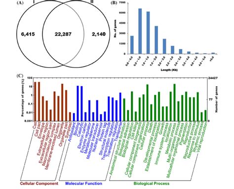 Overview Of The Peach Transcriptome A Comparison Of The Estimated Gene