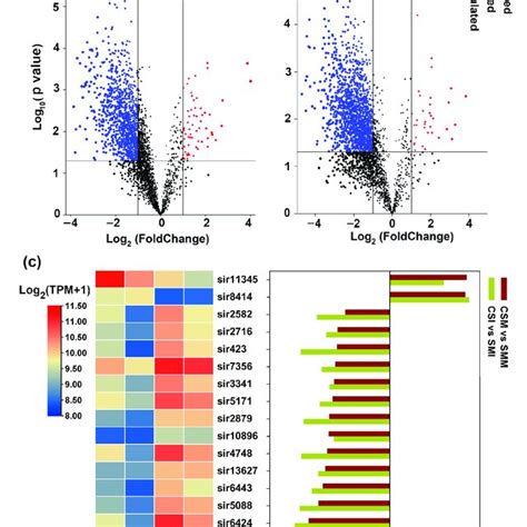 Differential Expressions Of Sirna A Differential Expression Of Sirna Download Scientific