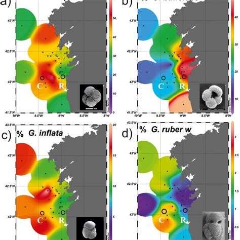 Spatial Distribution Patterns Of The Relative Abundances Of A N Download Scientific Diagram