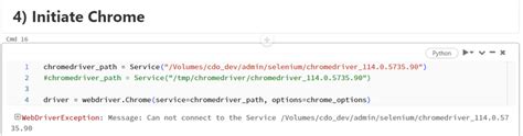 selenium chrome driver on databricks driver on the databricks