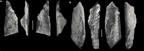 Hominins In Africa Were Shaping Bone Tools As Early As Million Years Ago