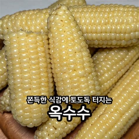 안양먹 봉투에 담아 마시는 맥주 아시는 분🤨 맥주의 도시 칭다오에서 자주 보이는 맥주 부스에서 봉지 패트 선택할 수 있고 맥주 종류도 진짜 다양하구