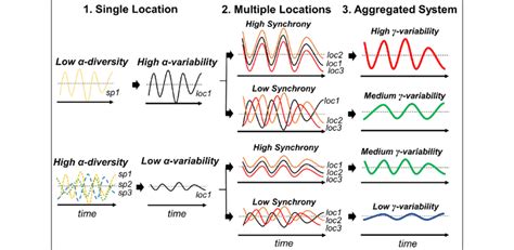 Conceptual Diagram Illustrating How Variability Propagates Across Download Scientific Diagram