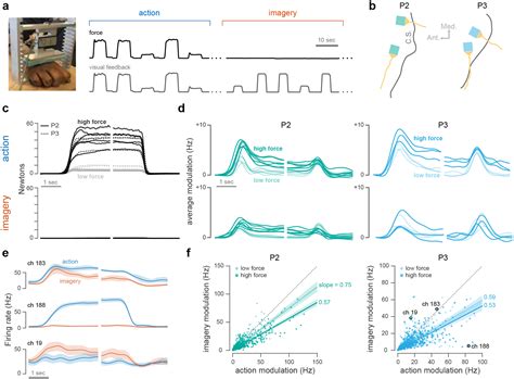 Motor Cortex Retains And Reorients Neural Dynamics During Motor Imagery