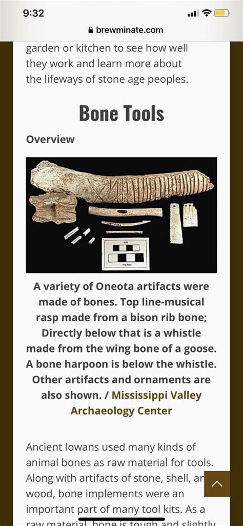 Oneota Rasp Made From Rib Bone Posey Co Indiana R Legitartifacts