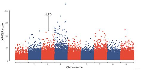 跟着nature Genetics学画图：r语言ggplot2画曼哈顿图展示xp Clr Scorewx6221d9080e88d的技术博客