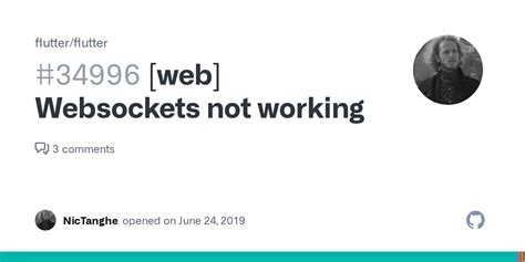 Web Websockets Not Working Issue Flutter Flutter GitHub