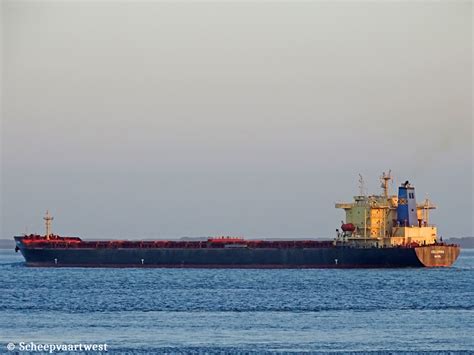 Scheepvaartwest Celerina Imo 9176759