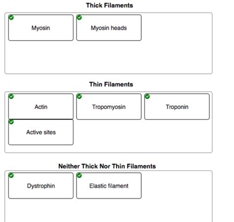 Chapter 11 Practice Questions Flashcards Quizlet