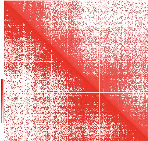 can coolbox create non symmetric heatmaps · issue 44 · gangcaolab