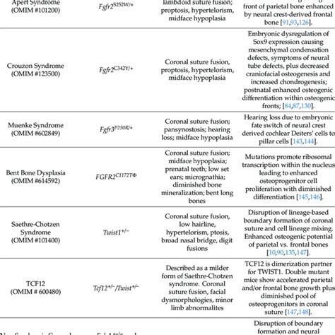 Pdf Cranial Neural Crest Cells And Their Role In The Pathogenesis Of