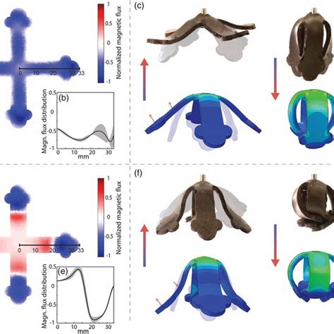 Soft Robotic Gripper With Four‐arm Architecture And Tailored Magnetic