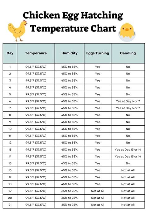 Chicken Egg Hatching Temperature Chart
