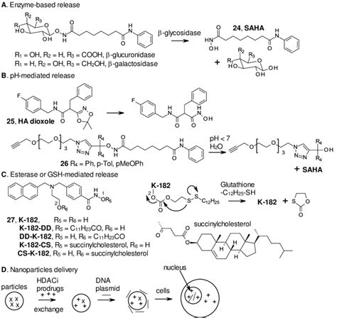 Hydroxamic Acids Prodrugs And Delivery Systems Download Scientific