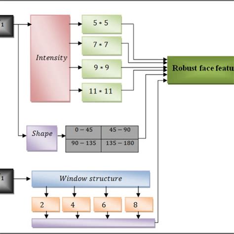 Robust Facial Features Extraction Via S1 And C1 Download Scientific Diagram