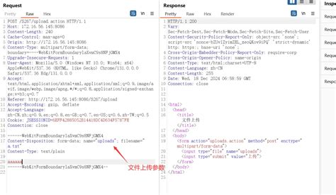 Burpsuite在代理环境下的问题 Mlins Burpsuite在代理环境下的问题 Mlins