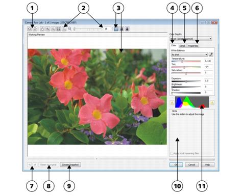 Bringing Raw Camera Files Into Coreldraw Coreldraw