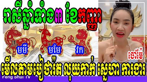 ចៅម៉ែ រាសីឆ្នាំទាំង៣ ប្រចាំខែកញ្ញា ២០២៣ មមី មមែ វក ទាយតាមបៀថារ៉ត លុយកាក់ ស្នេហា ការងារ Youtube