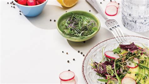 Go Micro My City Magazine