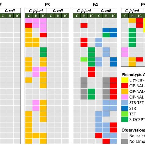 Minimum Spanning Tree Depicting The Clustering Of 19 Identified Sts By Download Scientific