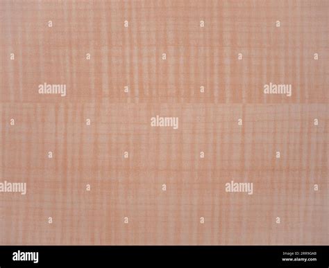 Hpl Fiber Wood Surface Maple Wood As Background Wood Texture High