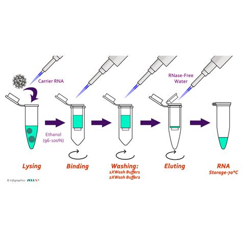 Zellx® Real Time Qpcr Sars Cov 2 Detection And Extraction Kits