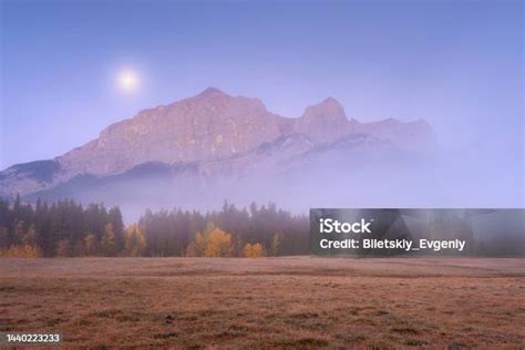 새벽에 산 풍경입니다 계곡에 안개 새벽에 산 계곡의 들판과 숲 밝은 달빛이 있는 자연 경관 높은 바위 산 밴프 국립 공원 앨버타 캐나다 0명에 대한 스톡 사진 및 기타