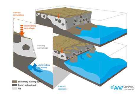 Illustration Of Thermal Abrasion And Thermal Denudation Copyright