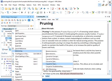 【大版本】xml编辑器oxygen xml editor v19 1发布 支持docbook 5 1 oxygen 发布doc csdn博客