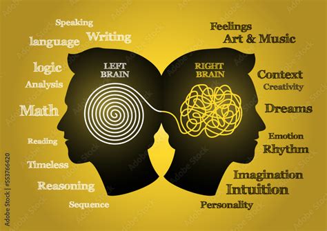 Left And Right Brain Personality Vector Illustration Stock Vector