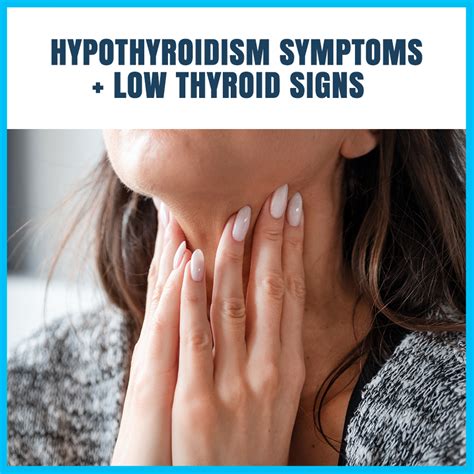 Cabral Concept 2490 — Stephen Cabral