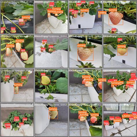 基于深度学习的草莓成熟度检测系统（网页版yolov8v7v6v5代码训练数据集） 逗逗班学python 博客园