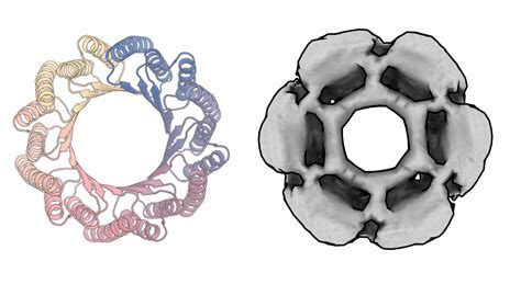 Baker Lab RFdiffusion Now Free And Open Source