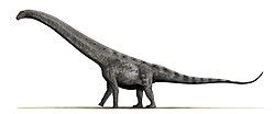 Huincul Formation Wikipedia