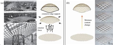 Gridshell Shaping Procedures A Conventional Procedure By Shaping The