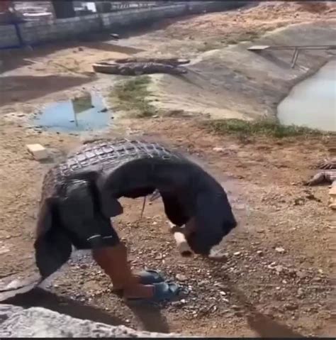 Video Jignesh P On Linkedin Lifeexpectancy Longevity