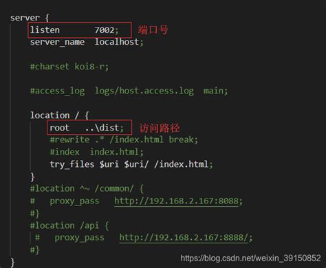 使用nginx反向代理运行dist文件 dist文件运行代理 csdn博客