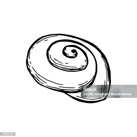 낙서 여름 세트에 조개 단일 요소 인사말 카드 포스터 스티커 및 계절 디자인에 대한 손으로 그린 벡터 일러스트레이션 갑각류에 대한 스톡 벡터 아트 및 기타 이미지 Istock