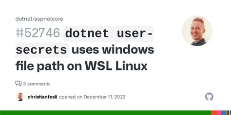 `dotnet user secrets` uses windows file path on wsl linux · issue