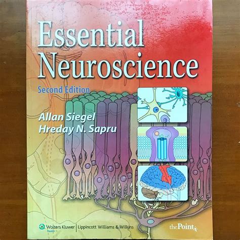 Essential Neuroscience 2nd Edition Hobbies And Toys Books And Magazines Textbooks On Carousell