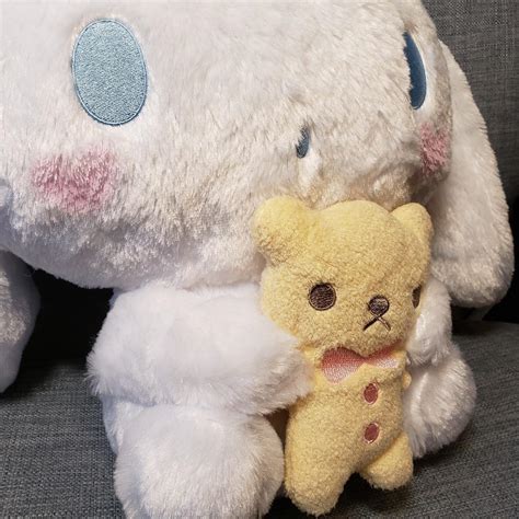 Rare 12 Sanrio Cinnamoroll Bear Hug Muted Mouth Depop