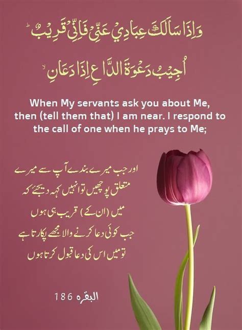 Zohaib Hassan On Linkedin Knowledge Learning Education Ghaza Humanity