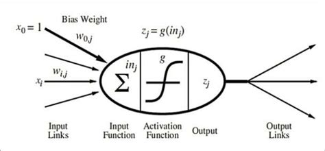 A Mathematical Model For A Neuron Download Scientific Diagram