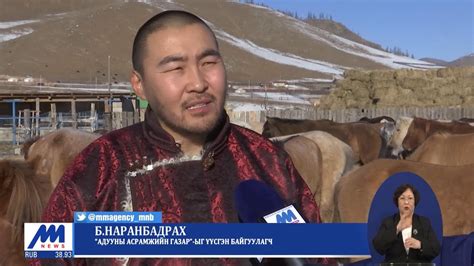 Адууны асрамжийн газар олон улсын 5 байгууллагатай хамтарч ажиллахаар болжээ Youtube