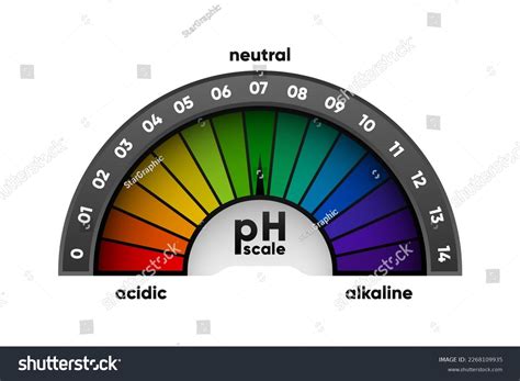 Ph Scale Meter Acidic Alkaline Solutions Stock Vector Royalty Free