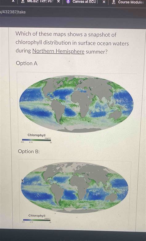 Solved Which Of These Maps Shows A Snapshot Ofchlorophyll