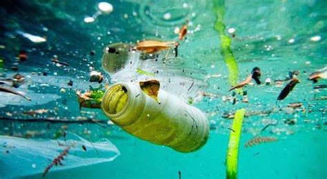 México Urge Atender La Problemática De La Contaminación Del Agua Por